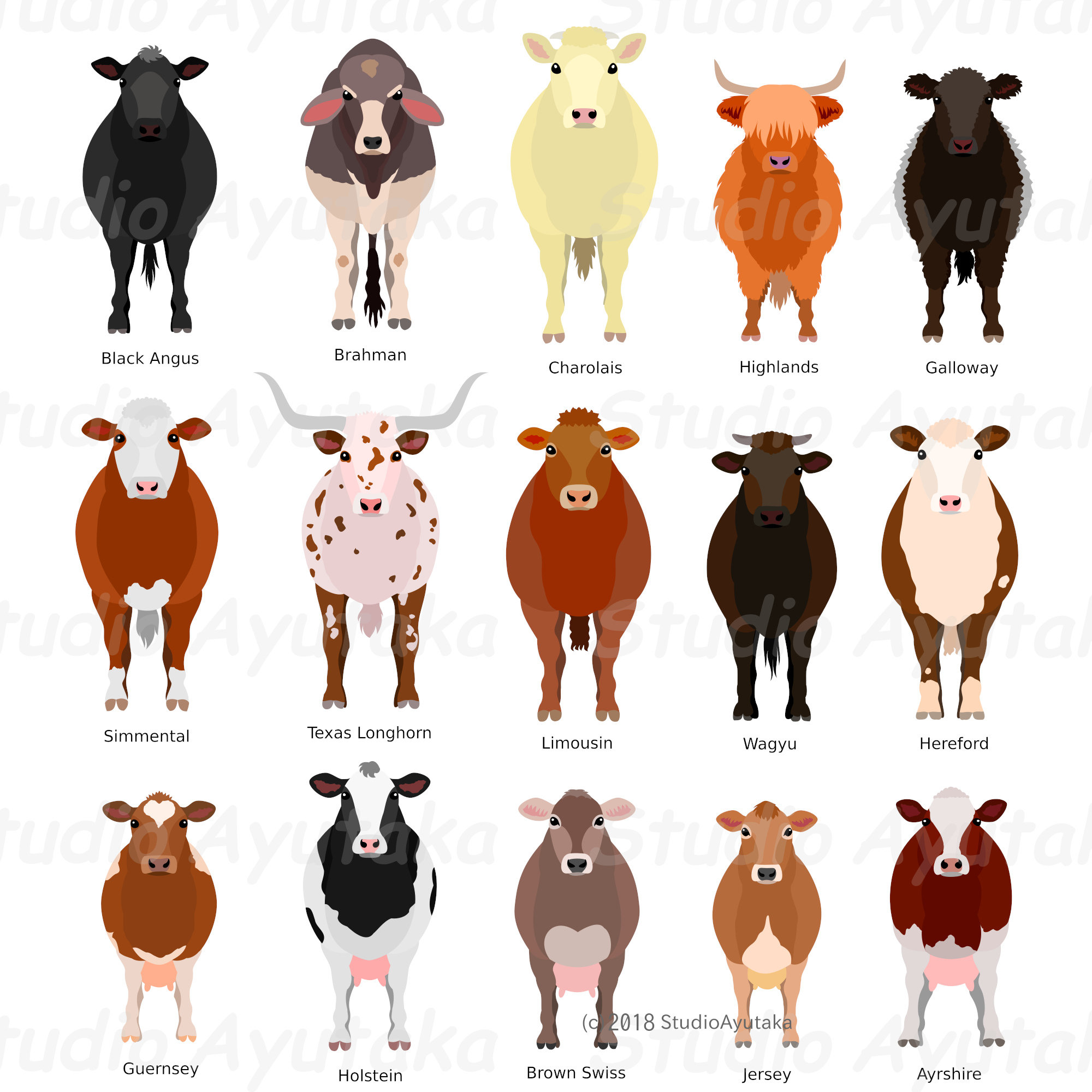 15 Breeds of Cows Bundle Svg Pdf Ai Png - Etsy Canada