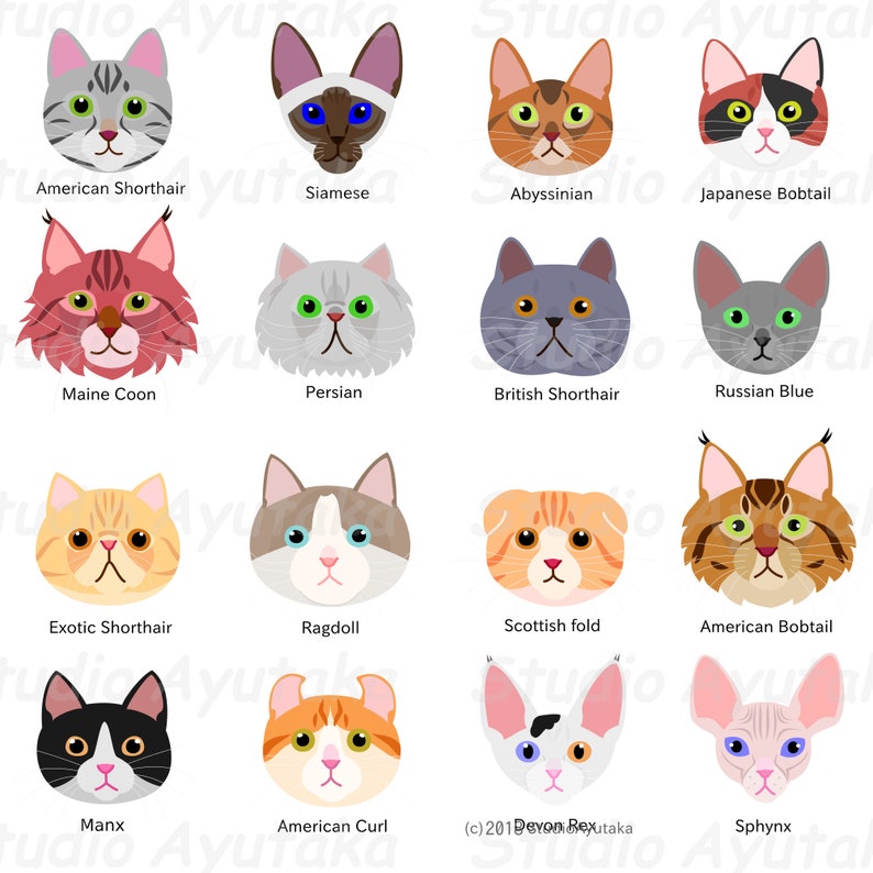 16 Cat Faces Bundle Svg Png - Etsy