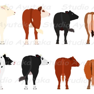 8 Breeds of Cows Rear View Set, Svg, Png - Etsy