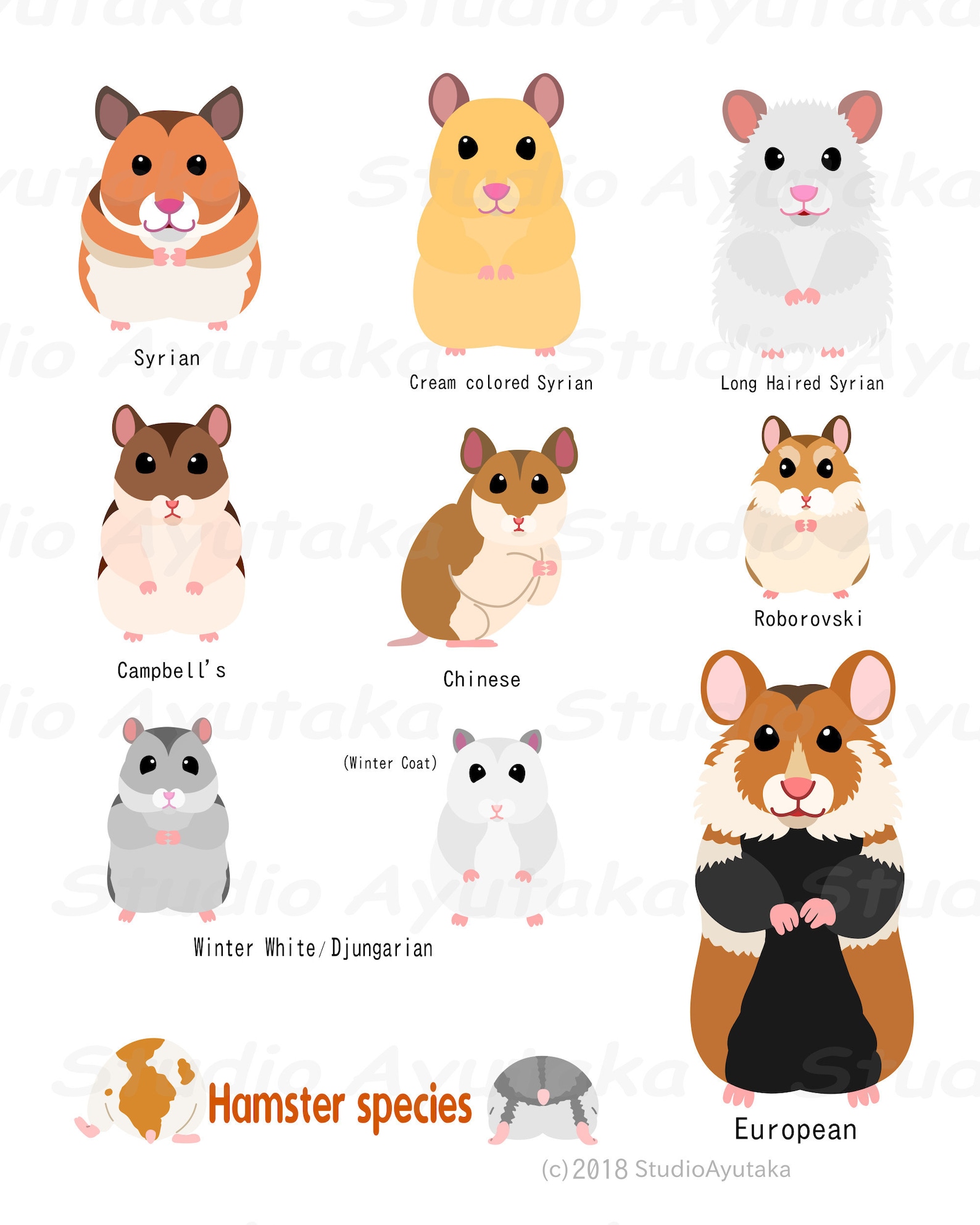 Various Species of Hamster Chart , Svg, Png, Jpg, 16*20'' - Etsy