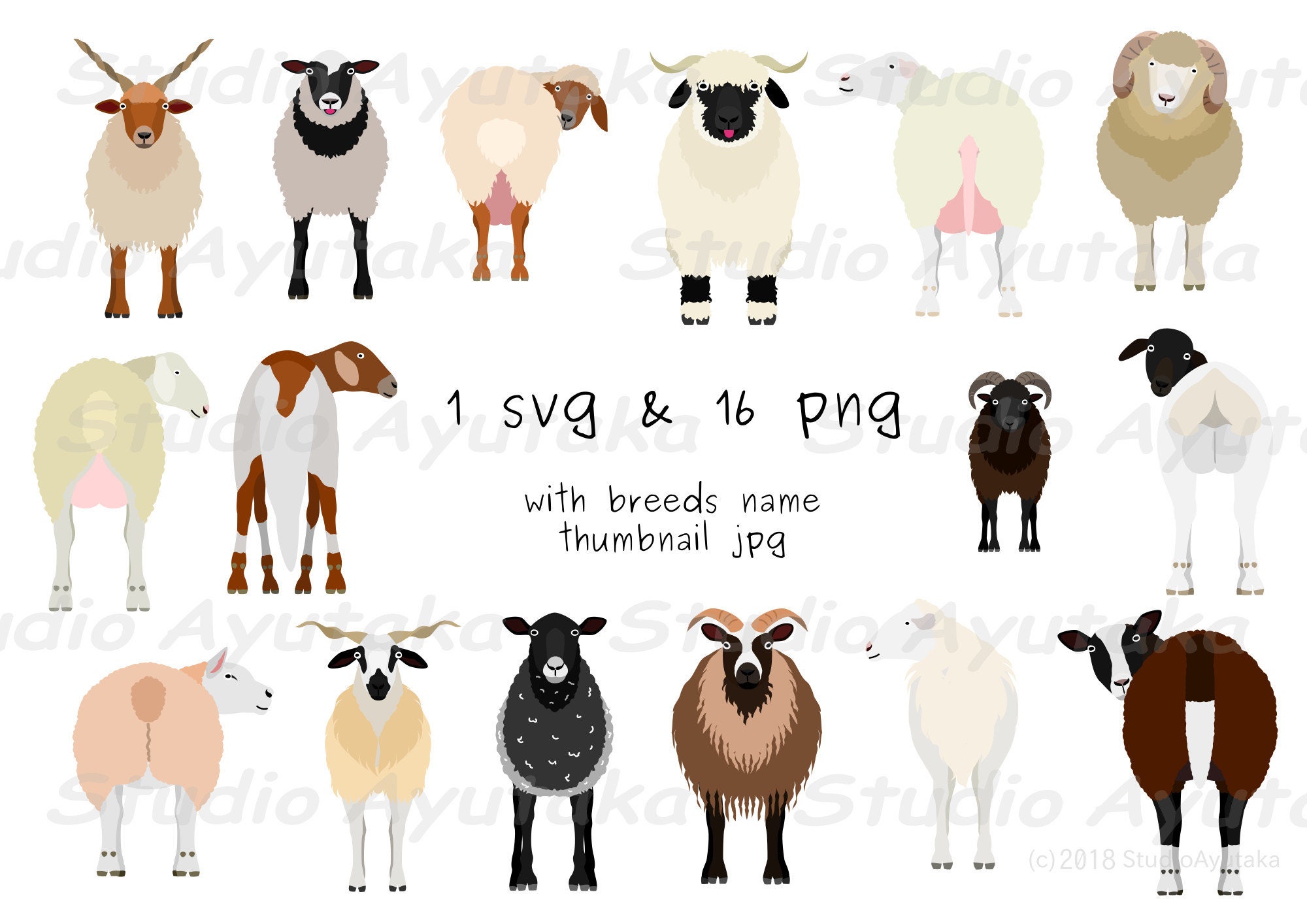 16 Breeds of Sheep Bundle Svg Png Jpg - Etsy
