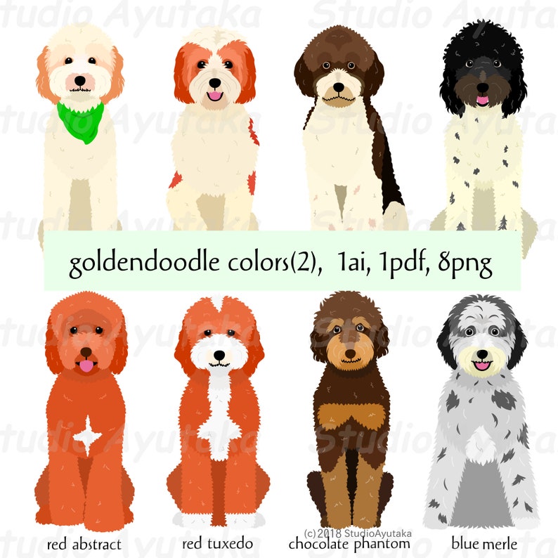 Goldendoodle Colors Bundle2 Png Pdf Ai - Etsy