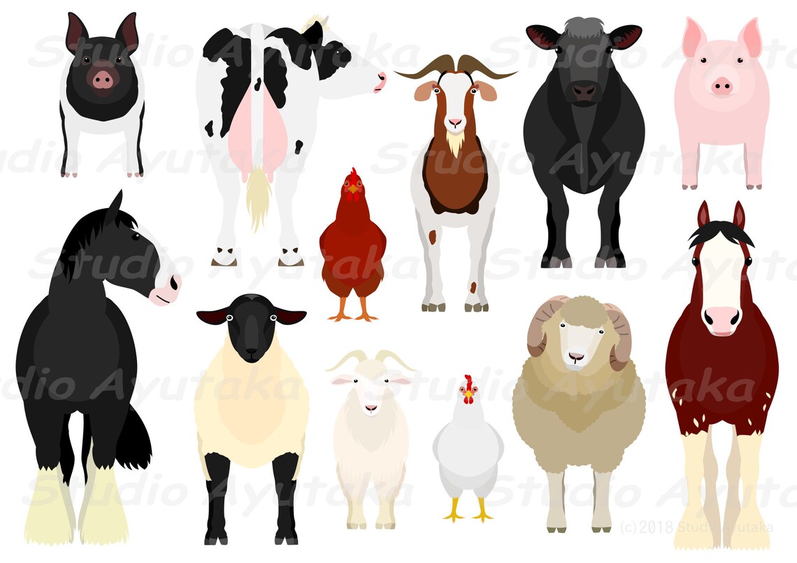 12 farm animals bundle svg png | Etsy