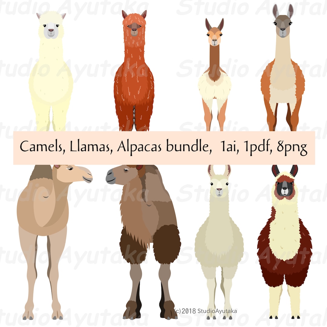 Camels, Llamas, Alpacas Bundle, Png, Ai, Pdf - Etsy