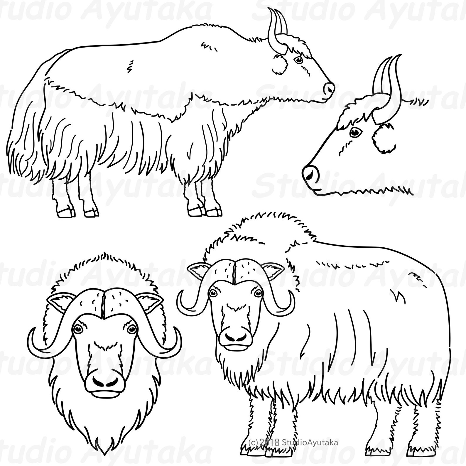 Yak and Musk Ox Line Art Bundle Svg Ai Pdf Png - Etsy