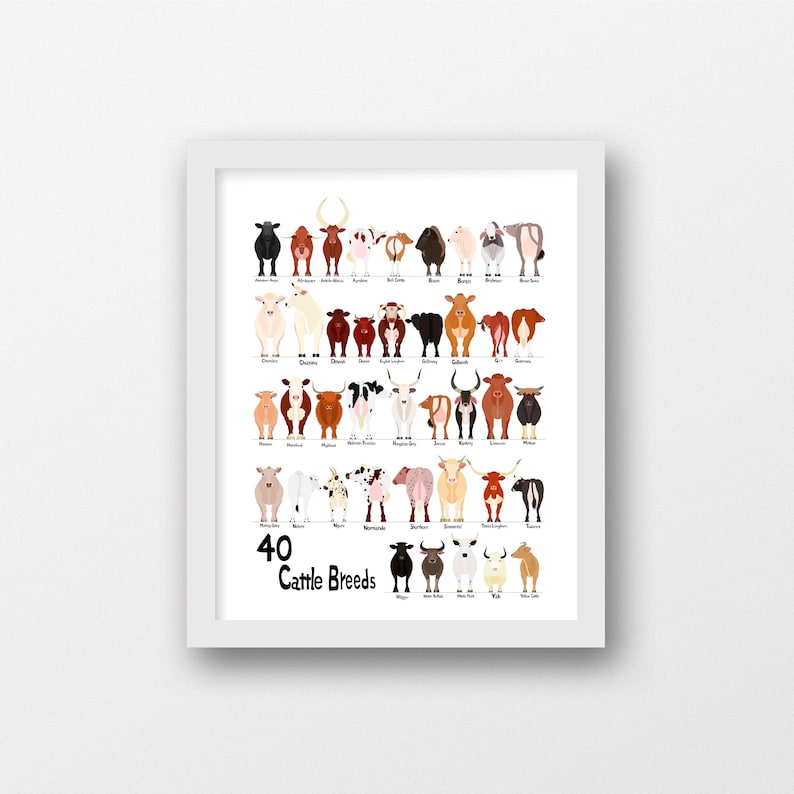 40 Breeds of Cattle Digital Chart, Svg, Jpg, Png, 16*20'' - Etsy