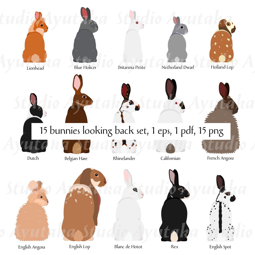15 Bunnies Looking Back Clipart Set, Eps, Pdf, Png, Hand-drawn Digital ...