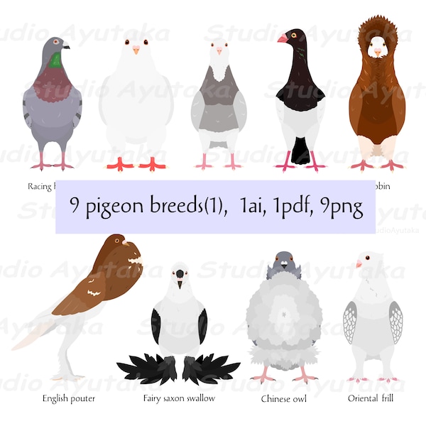 Pigeon Art - Etsy