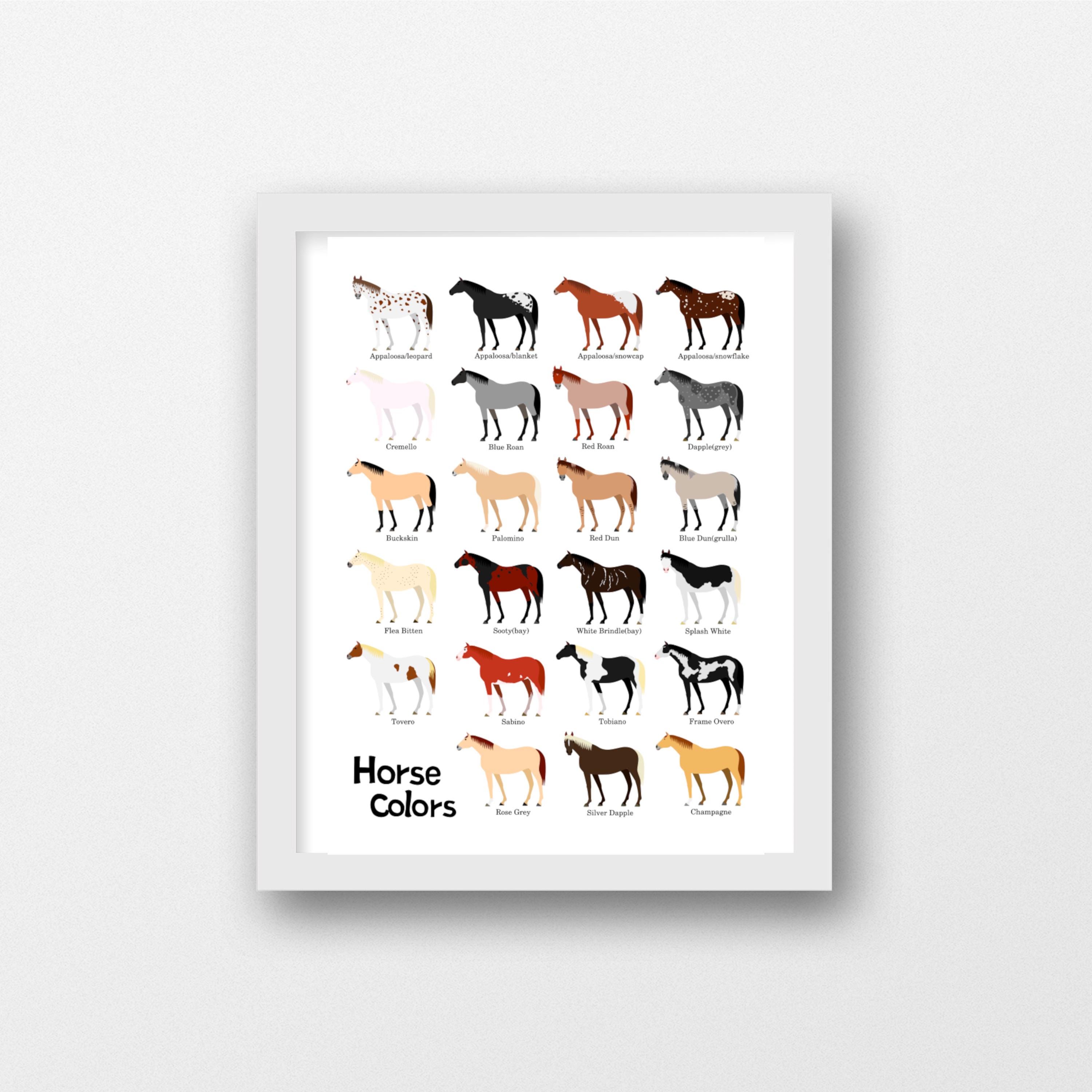 Various Colors of Horses Chart, Svg, Png, Jpg, 16*20'' - Etsy