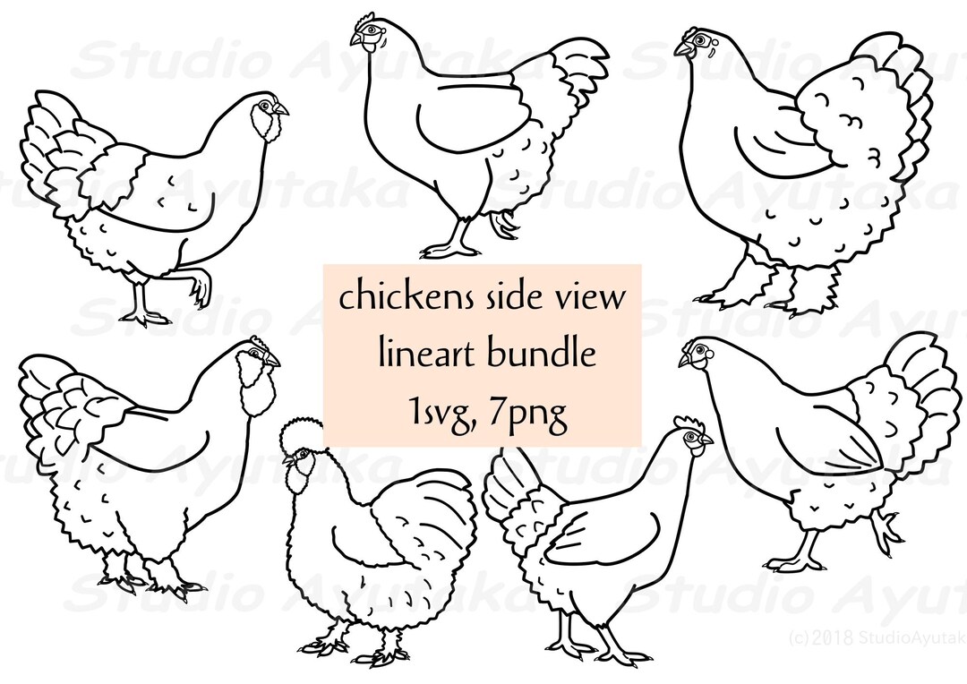 Chicken Side View Bundle Line Drawing, 1svg, 7png, 6 Chicken Breeds - Etsy