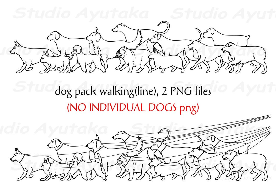 A Pack of Dogs Walking(line Drawing), 2 Png, No Individual Dogs, Dog ...