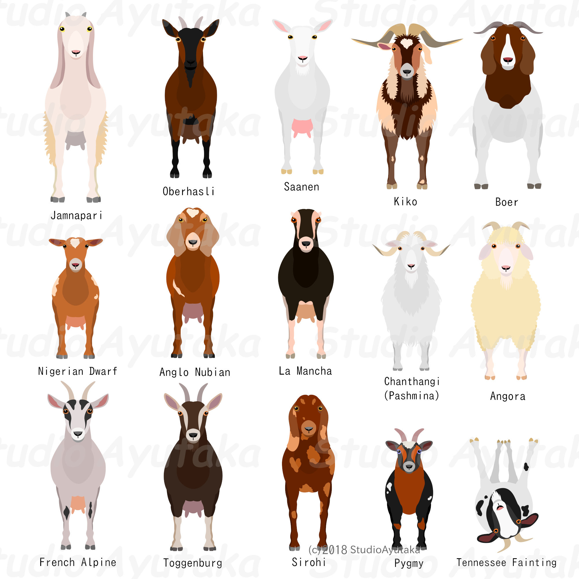 Types Of Goat
