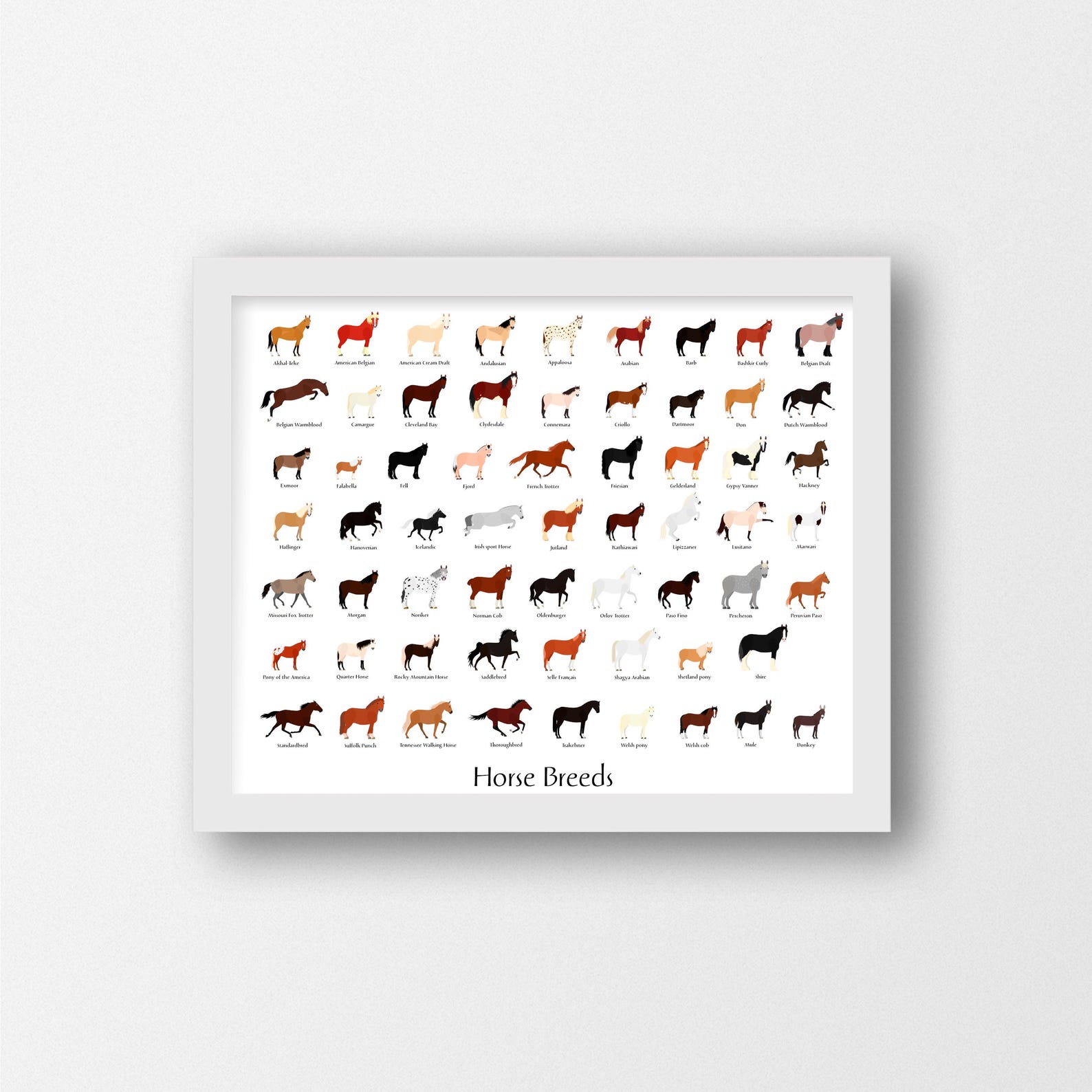 60 Horse Breeds(+mule&donkey) 16*20''printable Chart, Jpg, Pdf, Png - Etsy
