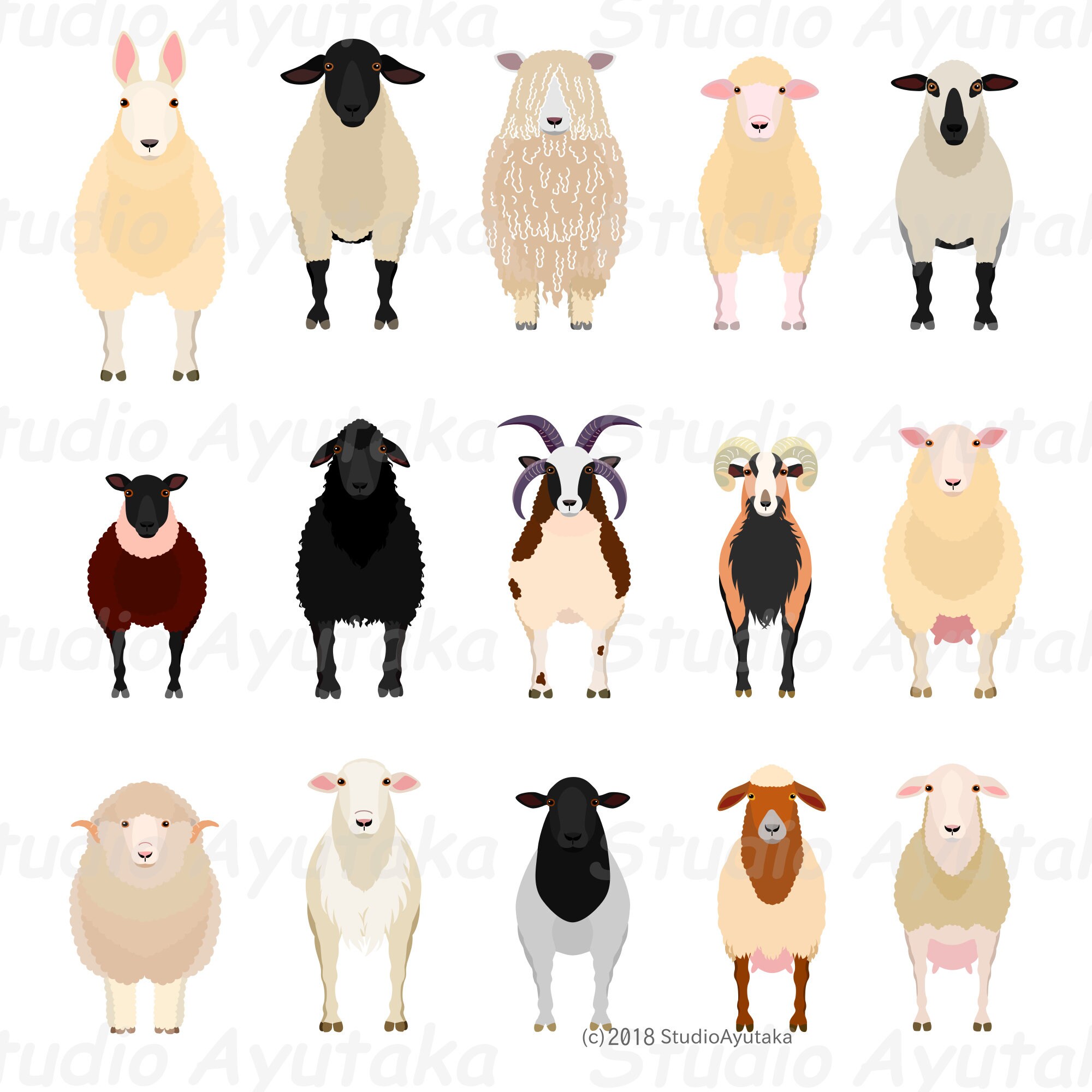 Set of 15 Hand-drawn Sheep Breeds Clipart, Svg, Pdf, Ai, Png - Etsy