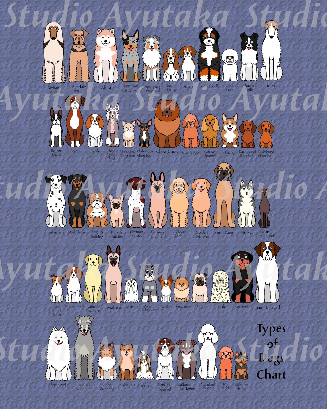 Types of Dogs Chart, Cartoon Dog Chart, Digital Design, Jpg, Pdf, Png ...