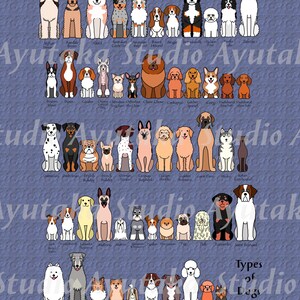 Types of Dogs Chart, Cartoon Dog Chart, Digital Design, Jpg, Pdf, Png ...