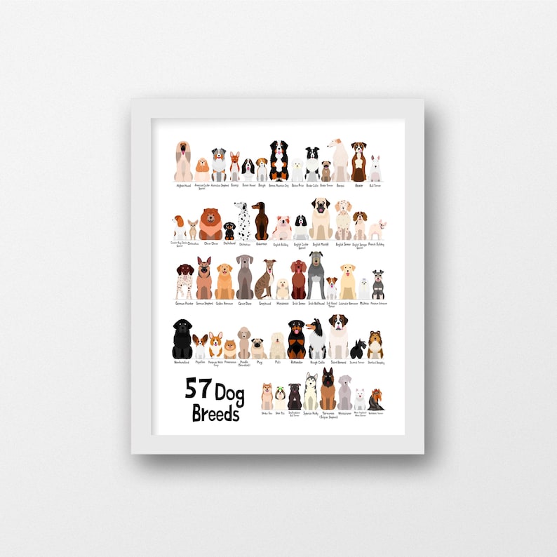 57 Breeds of Dog Digital Chart, Svg, Jpg, Png, 16*20'' - Etsy
