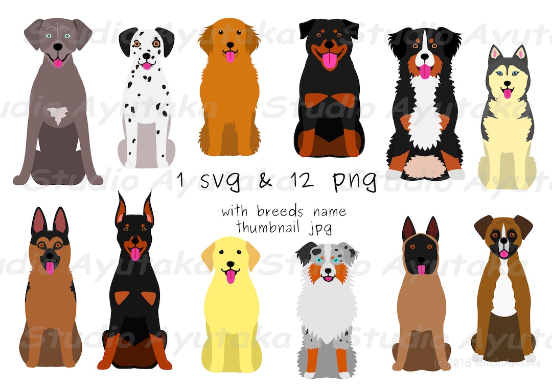 12 Large Dogs Sitting Set, Svg, Png, Illustration, Digital Drawing ...