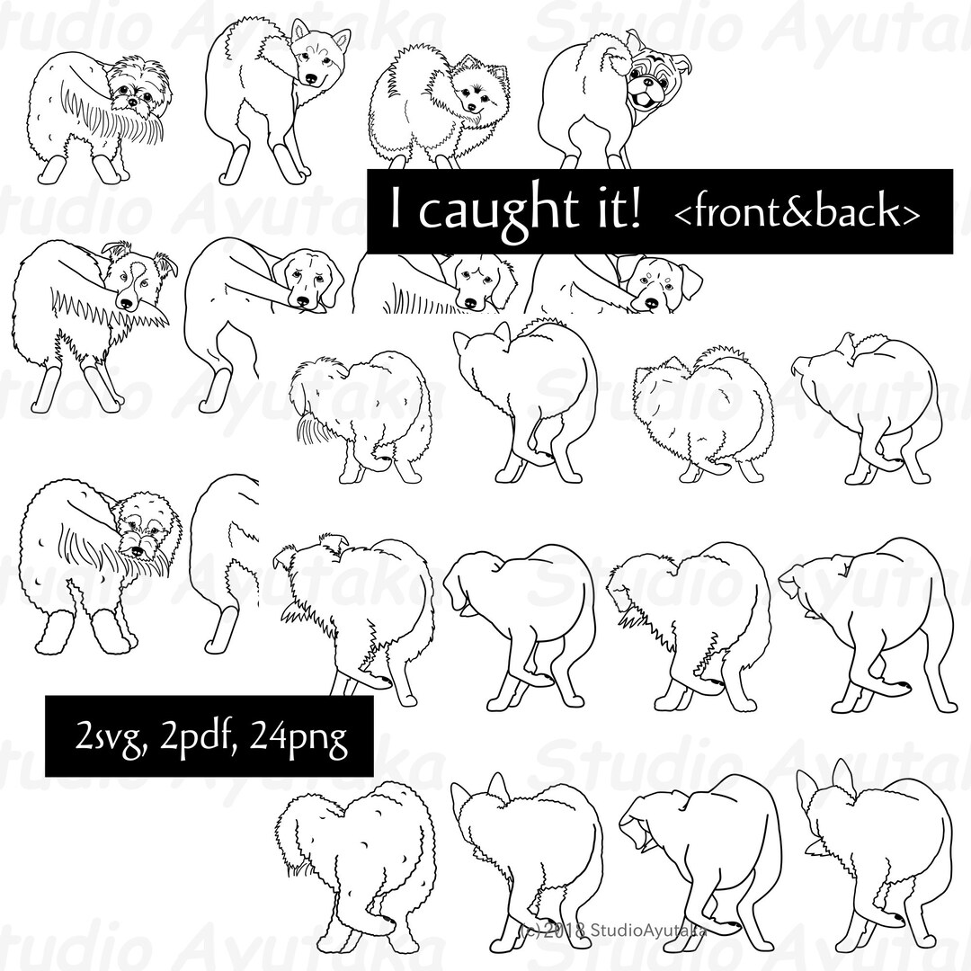 Dog Chewing His Tail Line Art Bundle, Front and Back Svg, Pdf, Png - Etsy