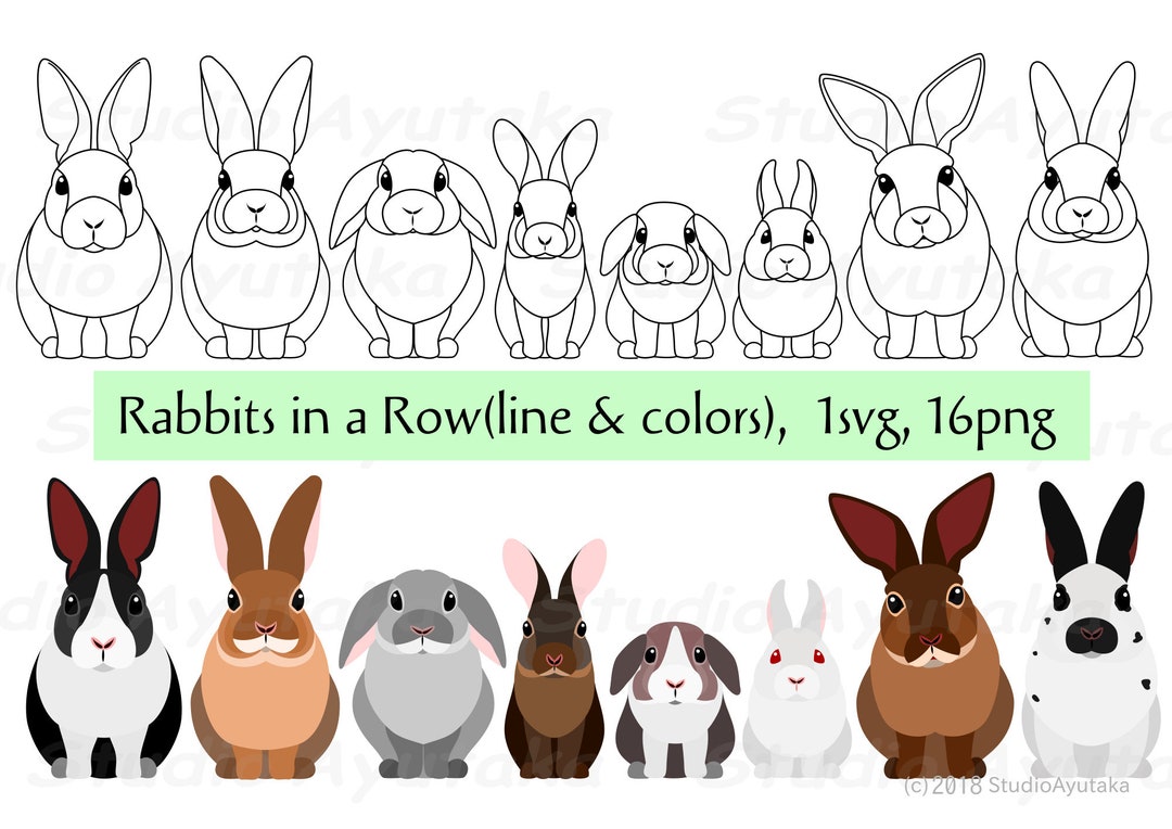 8 Rabbits Lineart&color Bundle, Svg, Png, Illustration, Digital Drawing ...