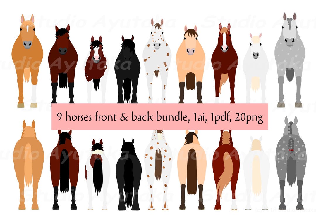 Horse From Front and Back Design Bundle, Ai, Pdf, Png - Etsy