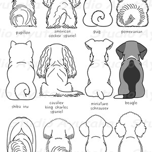 12 Dogs Back Line Art Bundle(1), Svg, Png, Handmade, Illustration ...