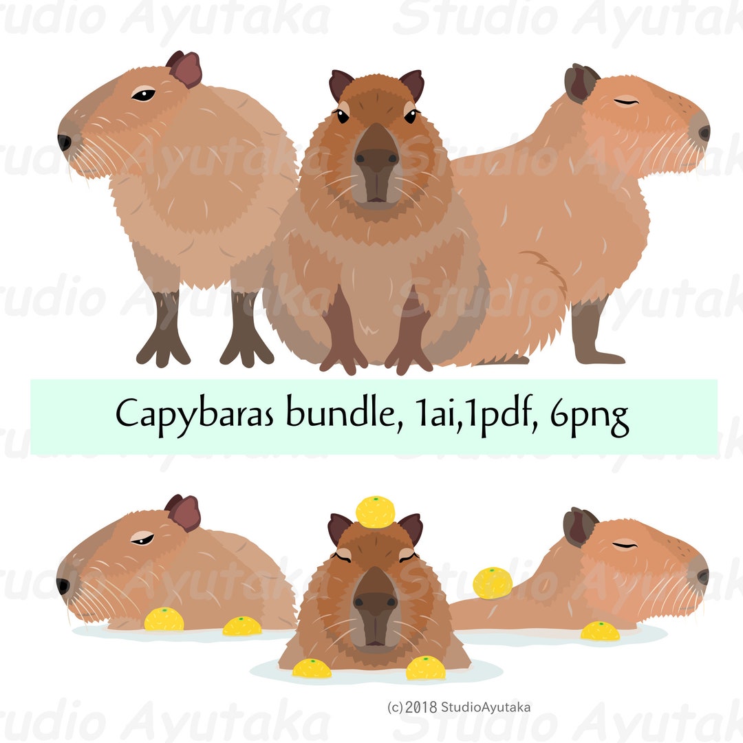 Capybara Bundle, 1ai, 1pdf, 6png, Illustration, Digital Drawing ...
