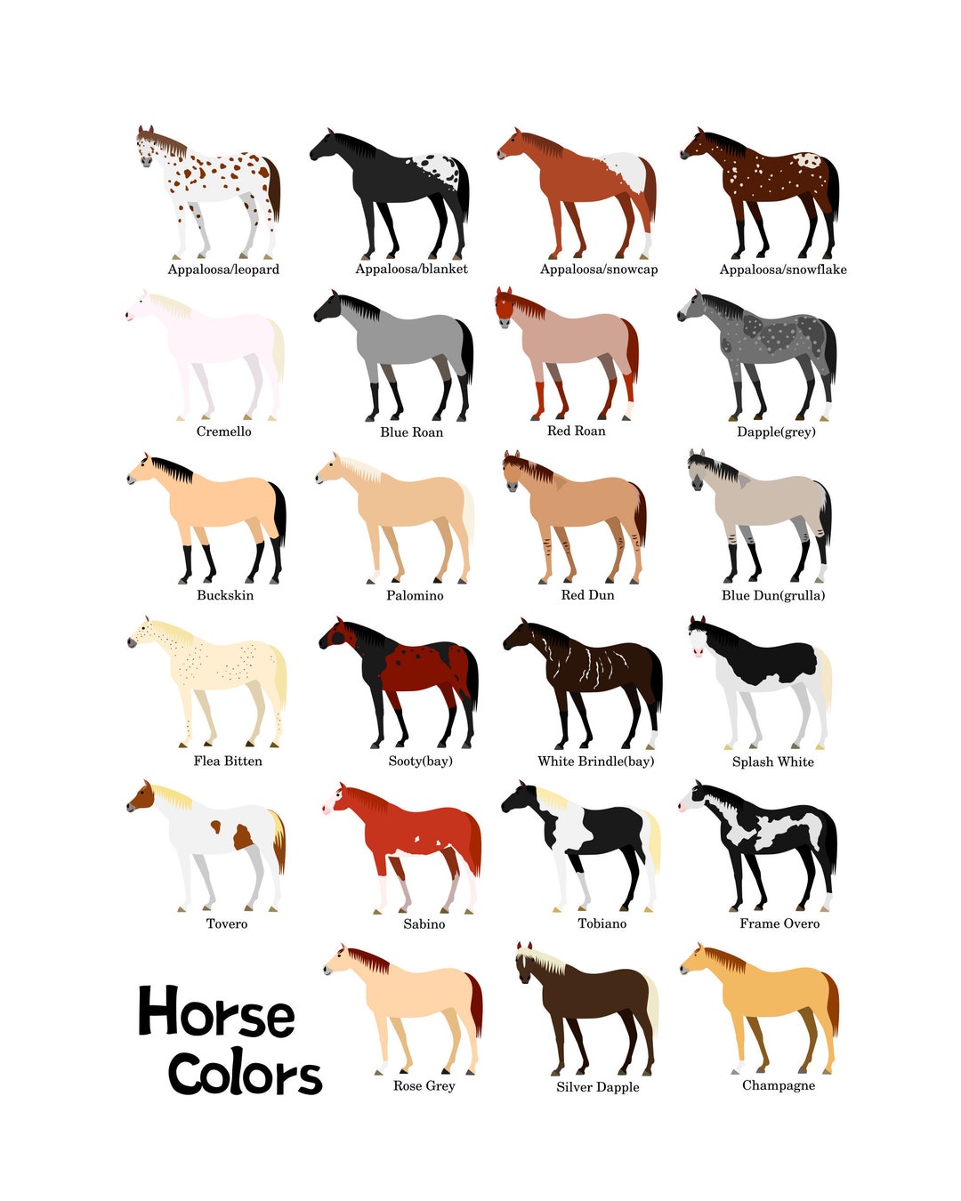 Various Colors of Horses Chart, Svg, Png, Jpg, 16*20'' - Etsy