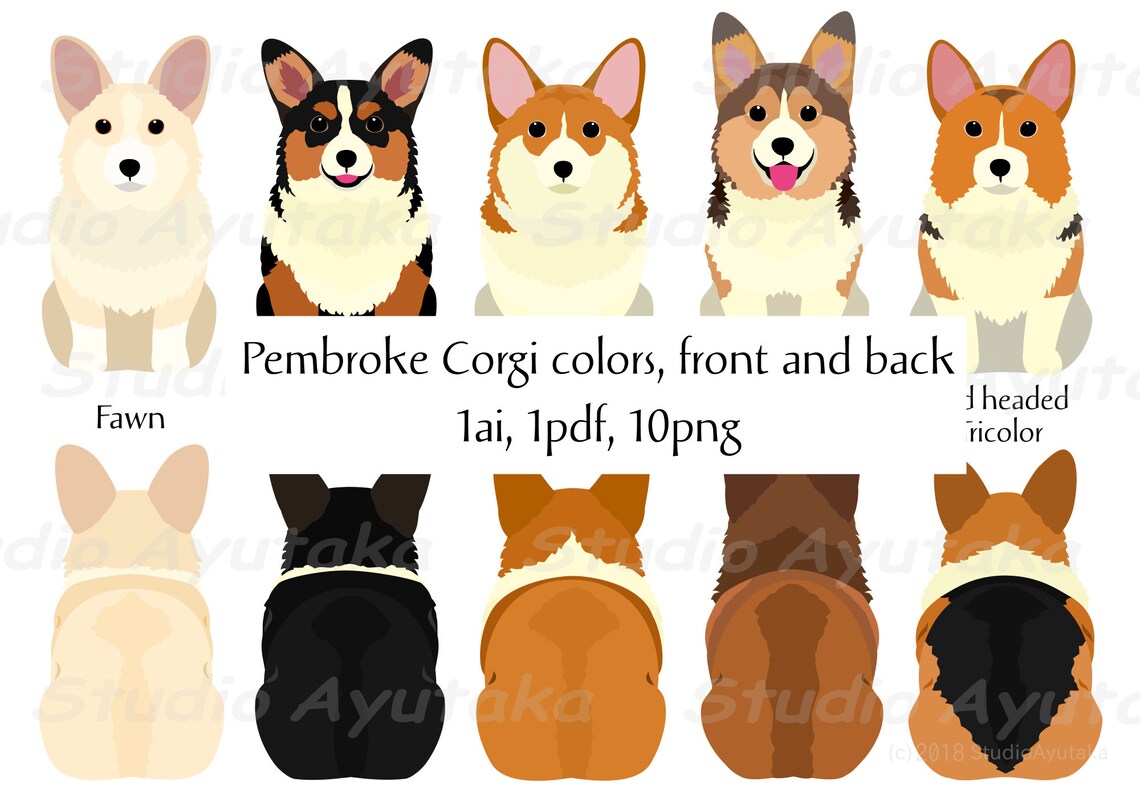 Pembroke Corgi Dog Color Variations Bundle Png Pdf Ai - Etsy