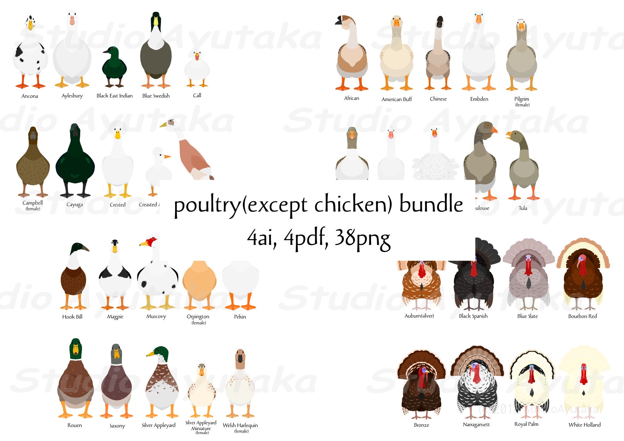 Poultryexcept Chickens Bundle Ai Pdf Png - Etsy