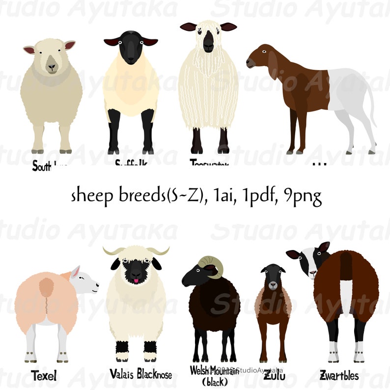 Sheep Breeds S~Z Bundle, Ai, Pdf, Png - Etsy