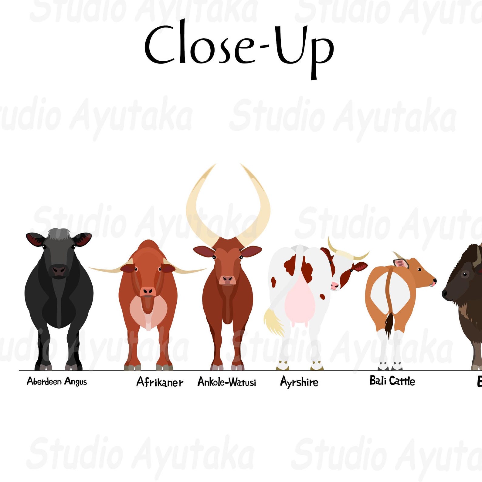 40 Breeds of Cattle Digital Chart, Svg, Jpg, Png, 16*20'' - Etsy