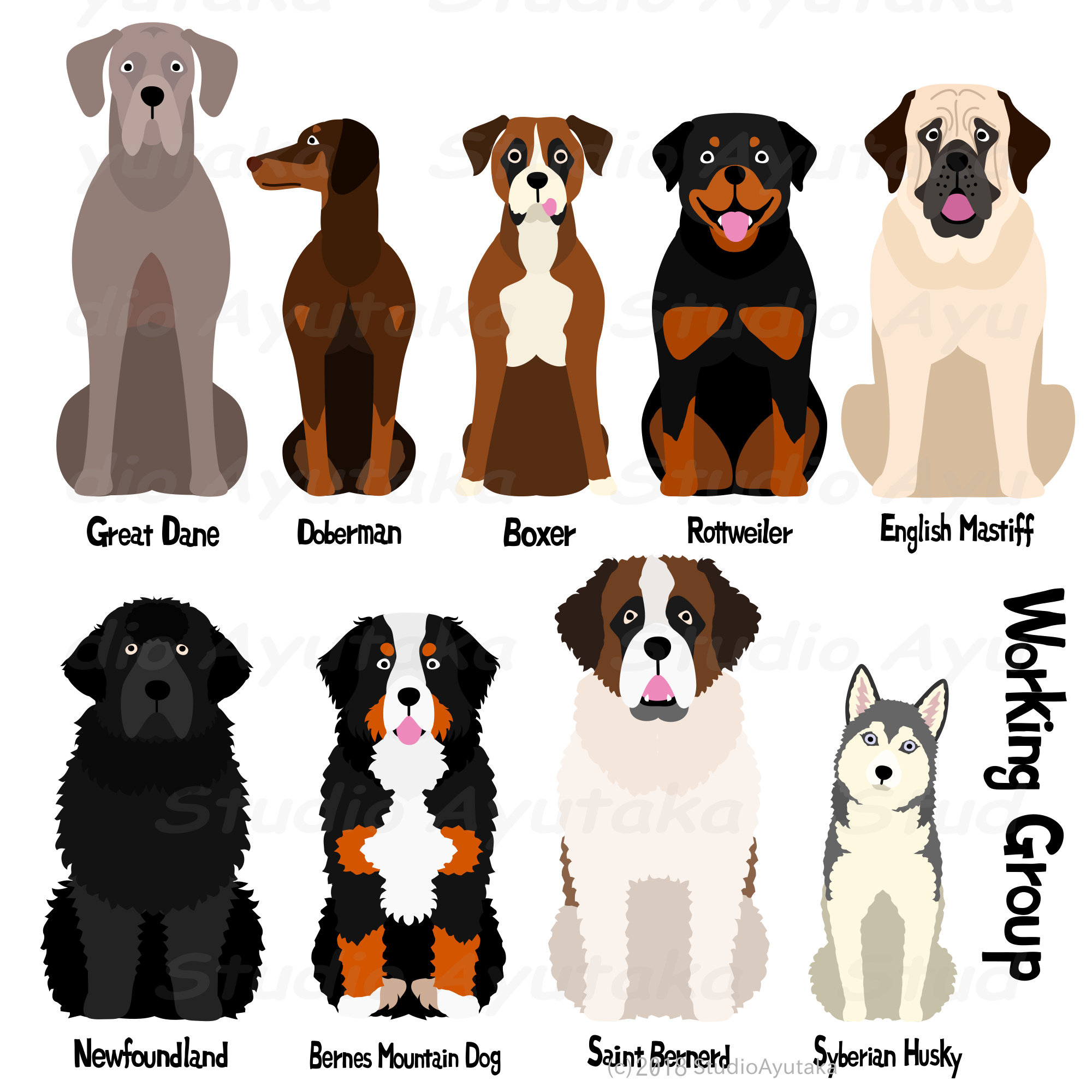 What Are Working Class Dogs