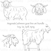 46 Breeds of Sheep Chart, Svg, Png, Jpg, 1620 - Etsy Canada