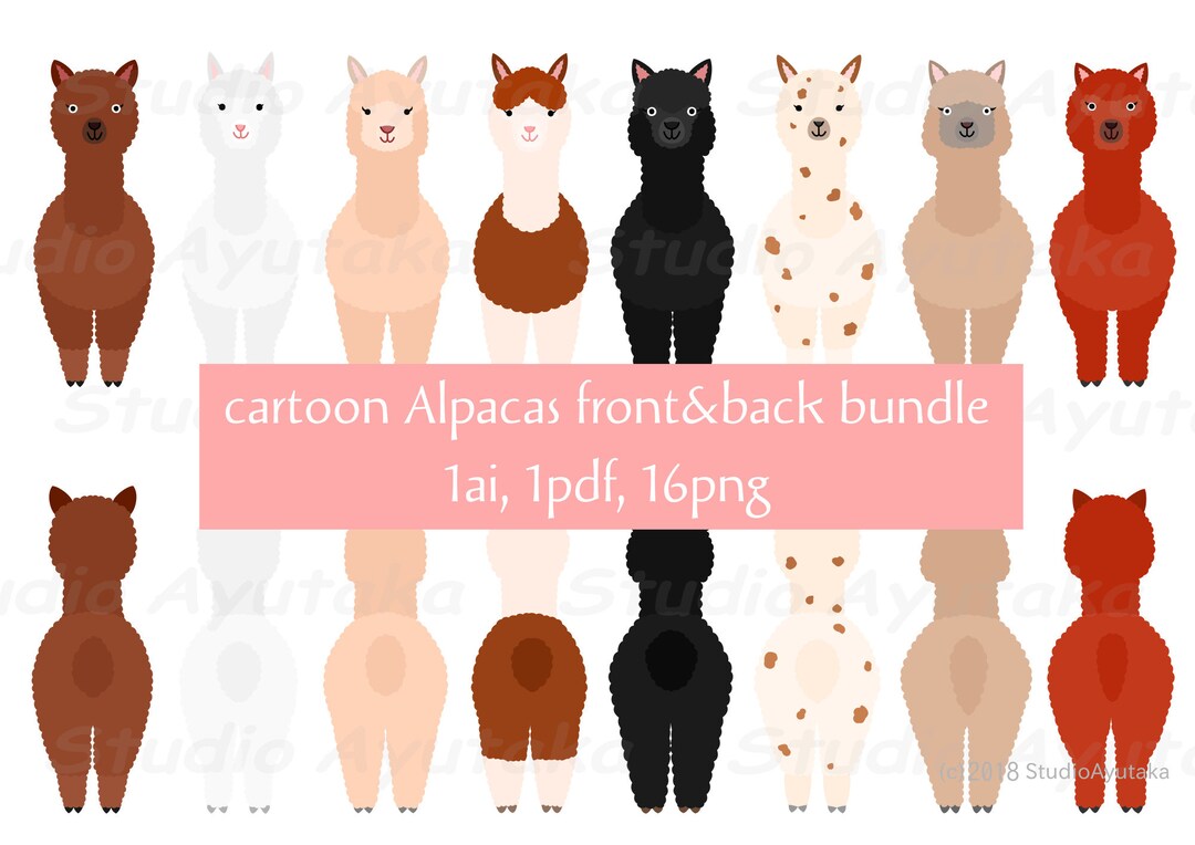 Cartoon Alpacas Front and Back Bundle, 1ai, 1pdf, 16png, Illustration ...