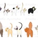 11 Funny Cats Showing Their Butts, Svg, Png - Etsy