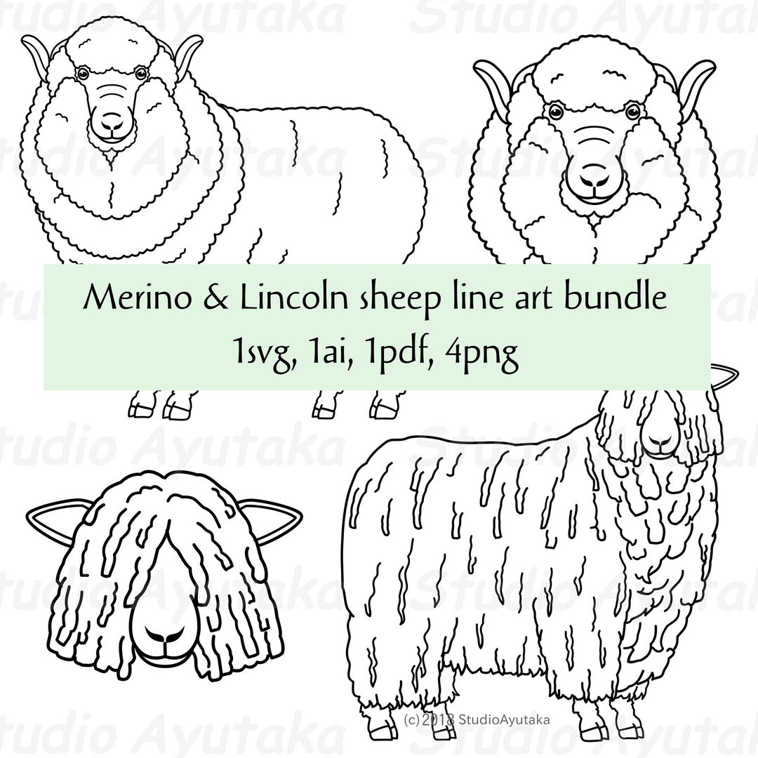 Merino&lincoln Sheep Line Art Design, Svg, Ai, Pdf, Png - Etsy