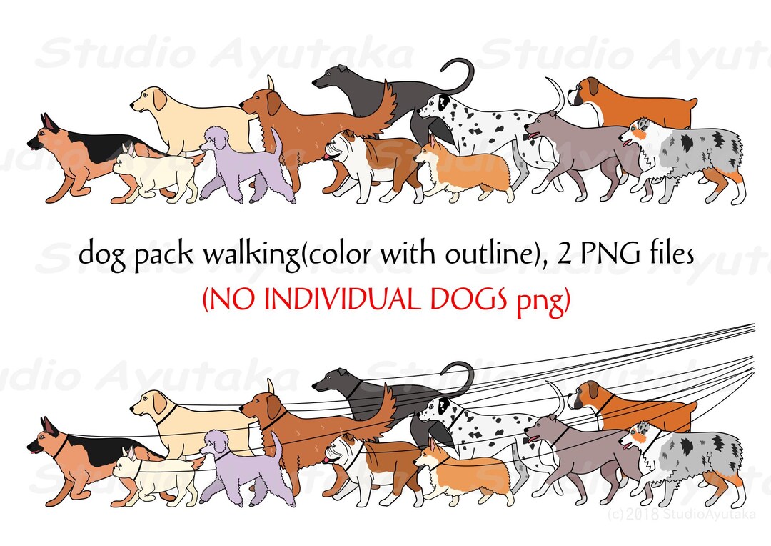 A Pack of Dogs Walking(color With Outline), 2 Png Files, No Individual ...