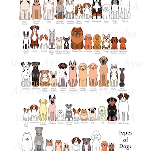 Types of Dogs Chart, Cartoon Dog Chart, Digital Design, Jpg, Pdf, Png ...