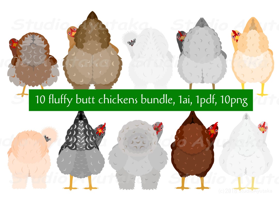 Fluffy Butt Chickens Bundle, 1ai, 1pdf, 10png - Etsy