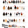 46 Breeds of Sheep Chart, Svg, Png, Jpg, 1620 - Etsy Canada