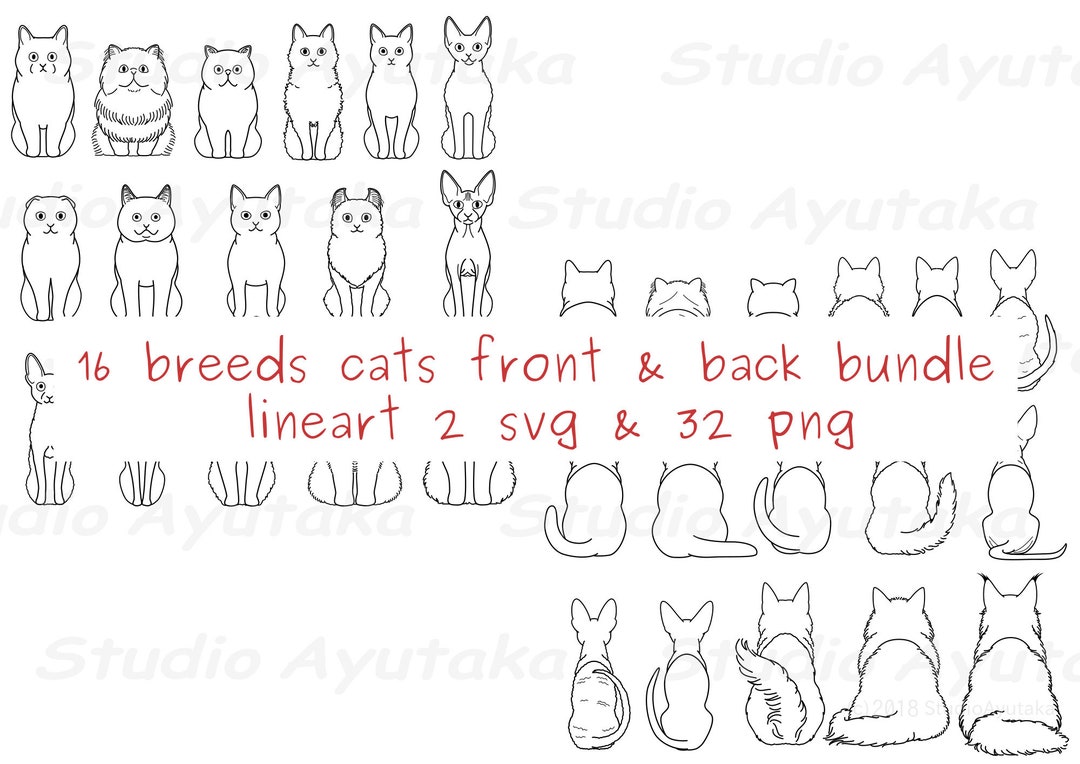 16 Breeds Cats From Front & Behind Lineart Bundle, Svg, Png ...