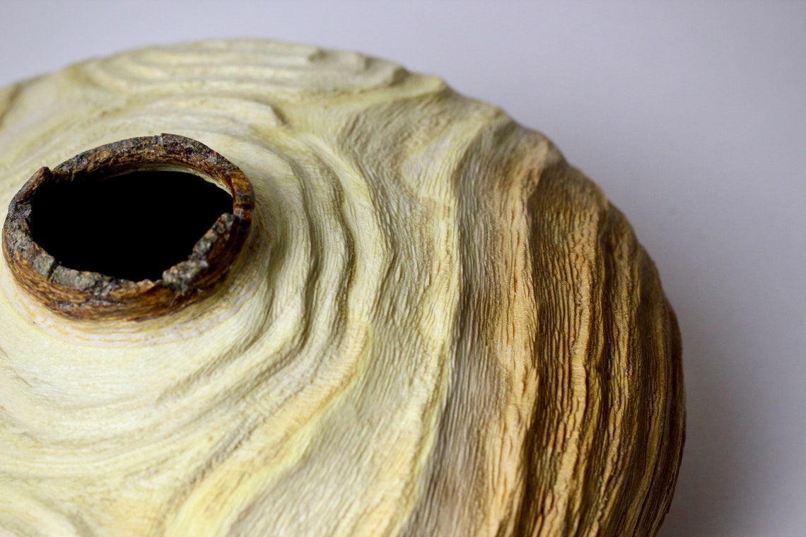 Honey Locust Wood Live Edge Hollow Form Carved and Textured - Etsy