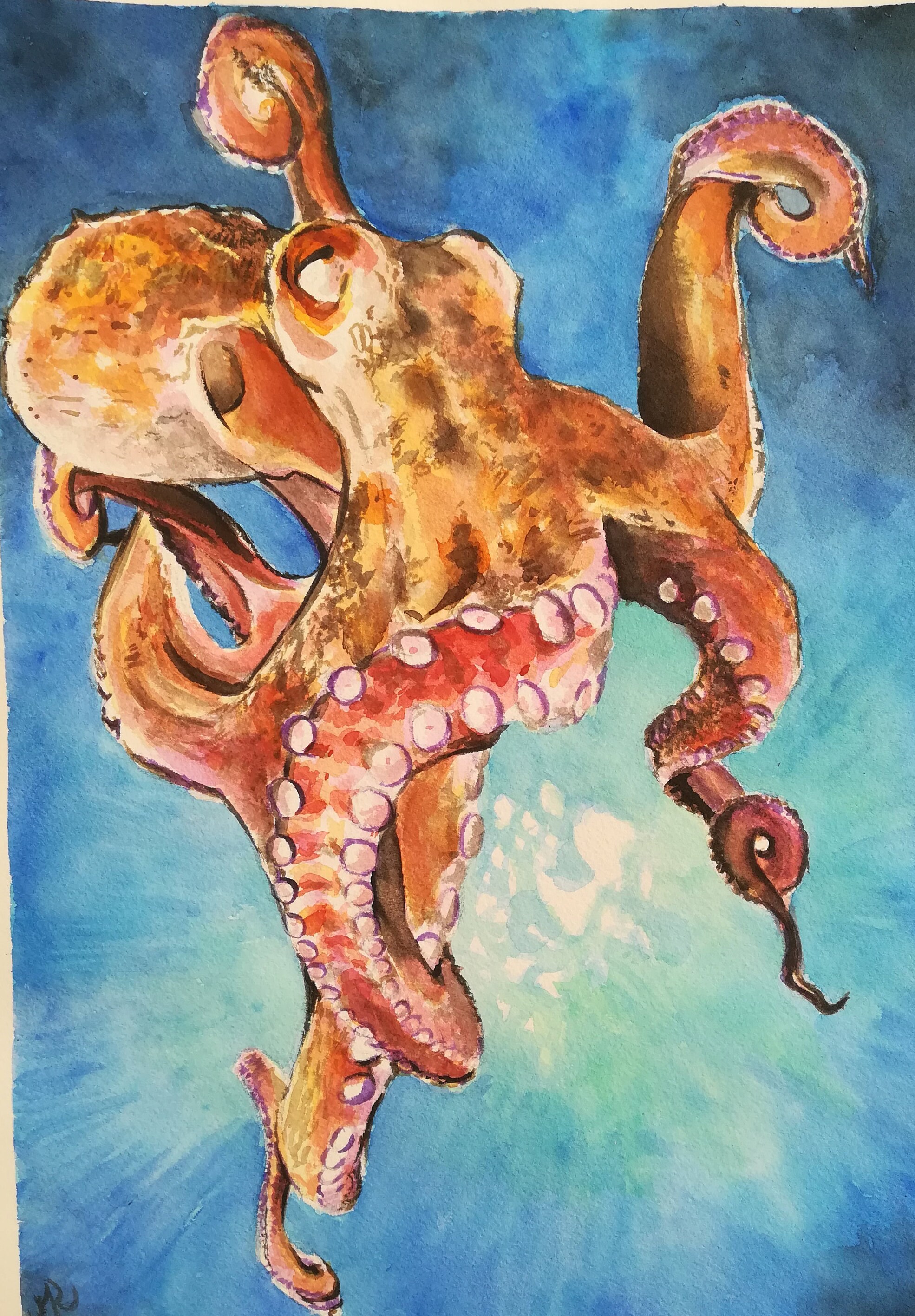 Realistic Octopus Painting