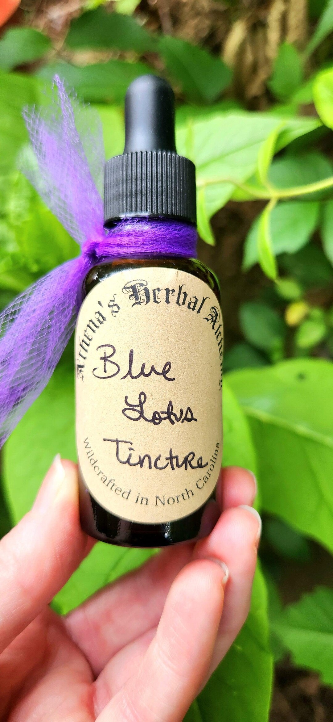 Egyptian Blue Lotus Tincture~lucid Dream~organic~nymphaea Caerulea ...