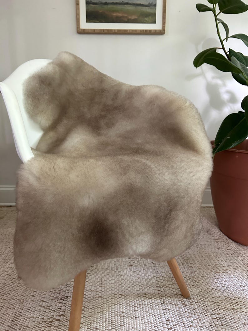 Greyish Brown Shortfur Sheepskin, Real Greyish Brown Sheepskin, Natural ...