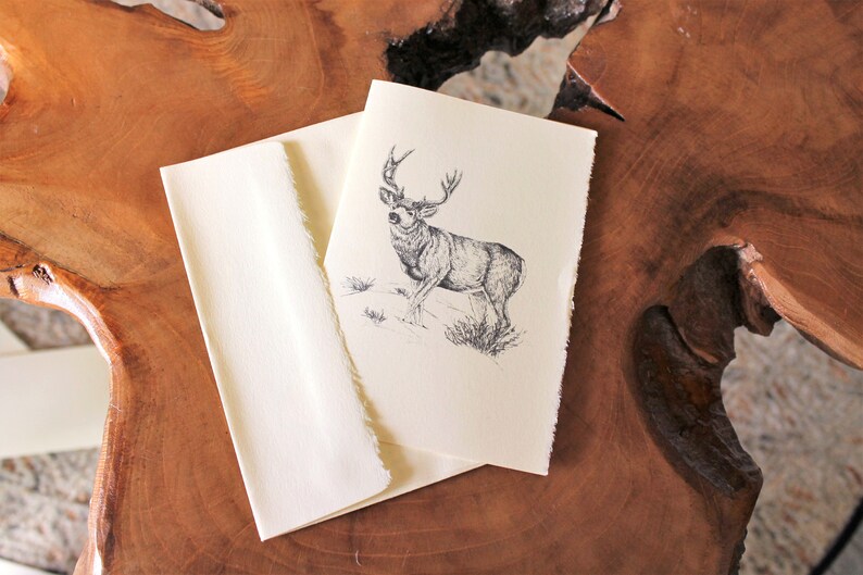 4x6 Mule Deer Note Card or Greeting Card - Etsy