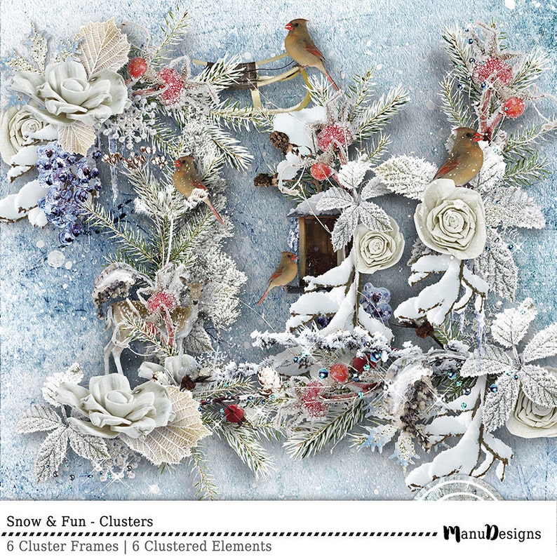 Digital Scrapbooking, Winter Clusters, Wintertime, Cluster Frames ...