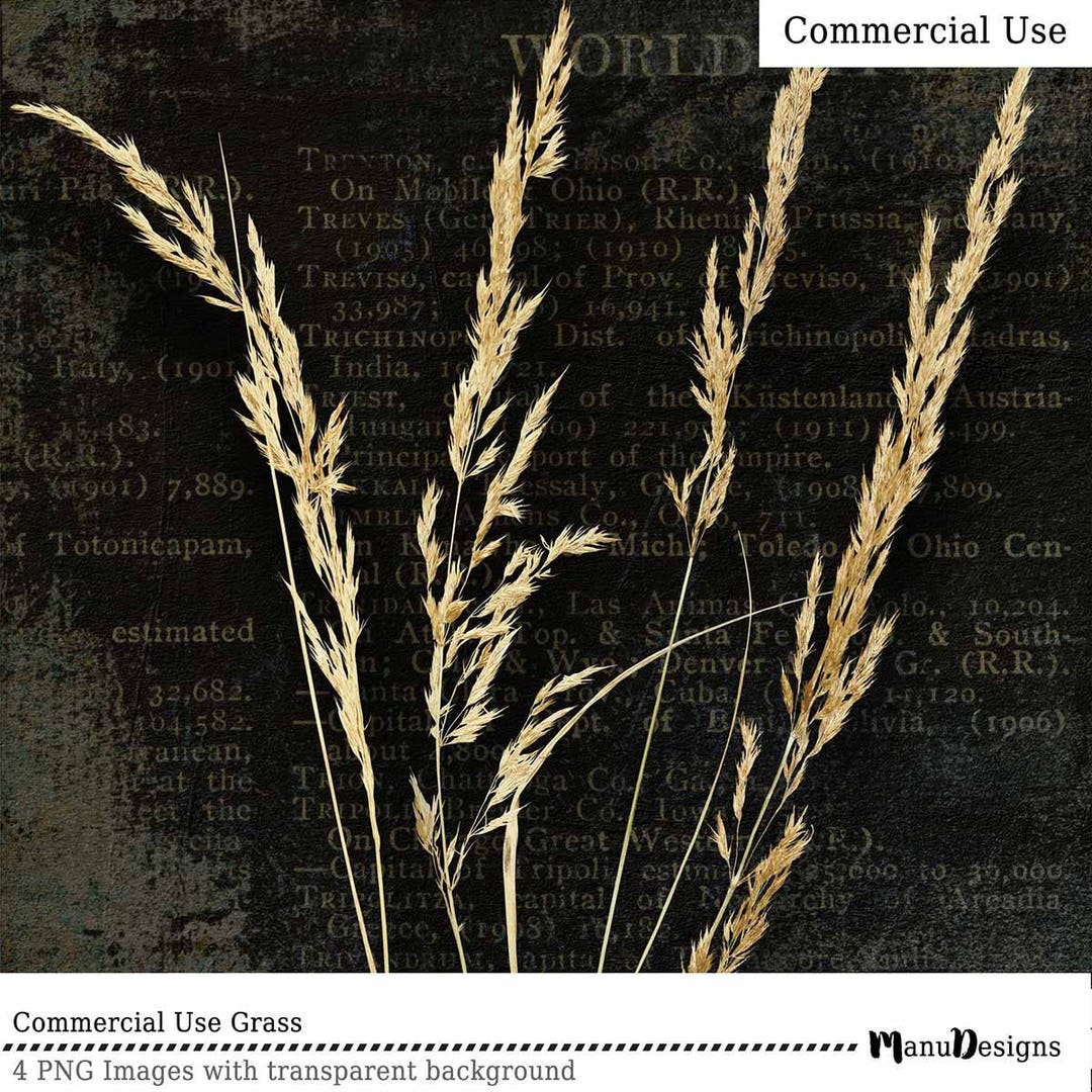 Commercial Use Digital Grass Graphics and Clipart, Professional Use ...