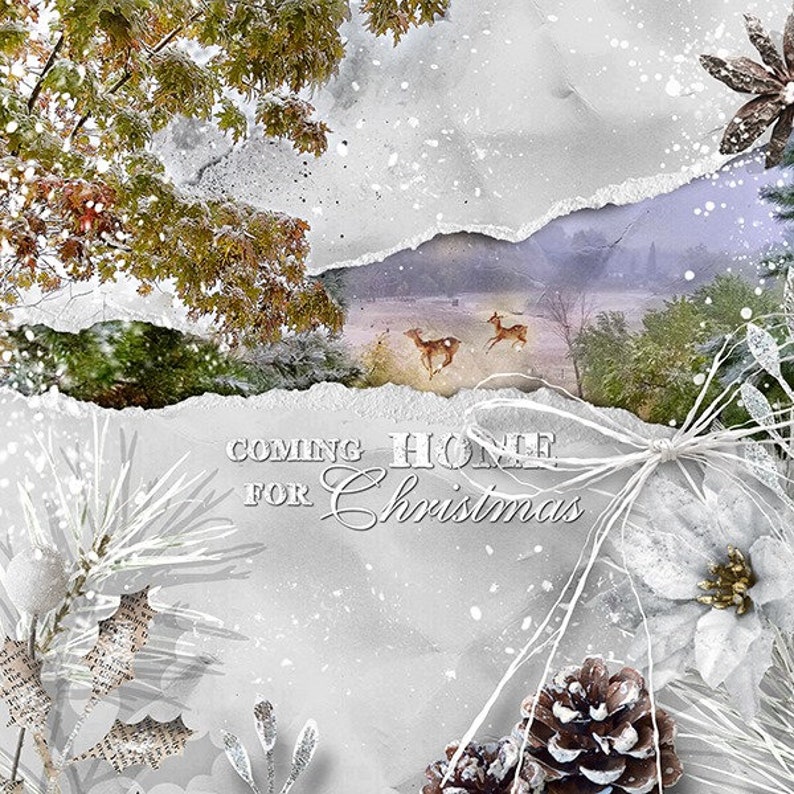 Torn Edge Border Digital Papers Torn Paper Overlays Torn | Etsy